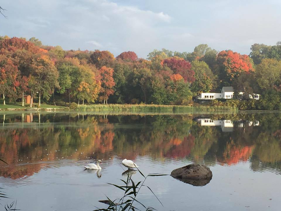 Wilton Week in Photos Oct 10-16 | Good Morning Wilton