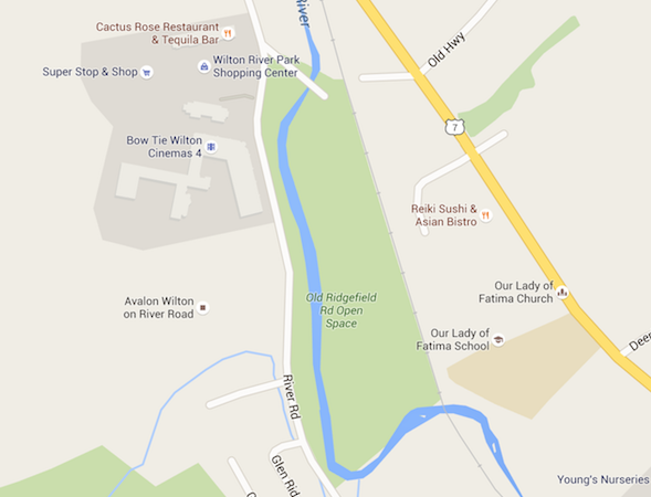 Wilton Conservation Commission Luminaria Walk - Good Morning Wilton