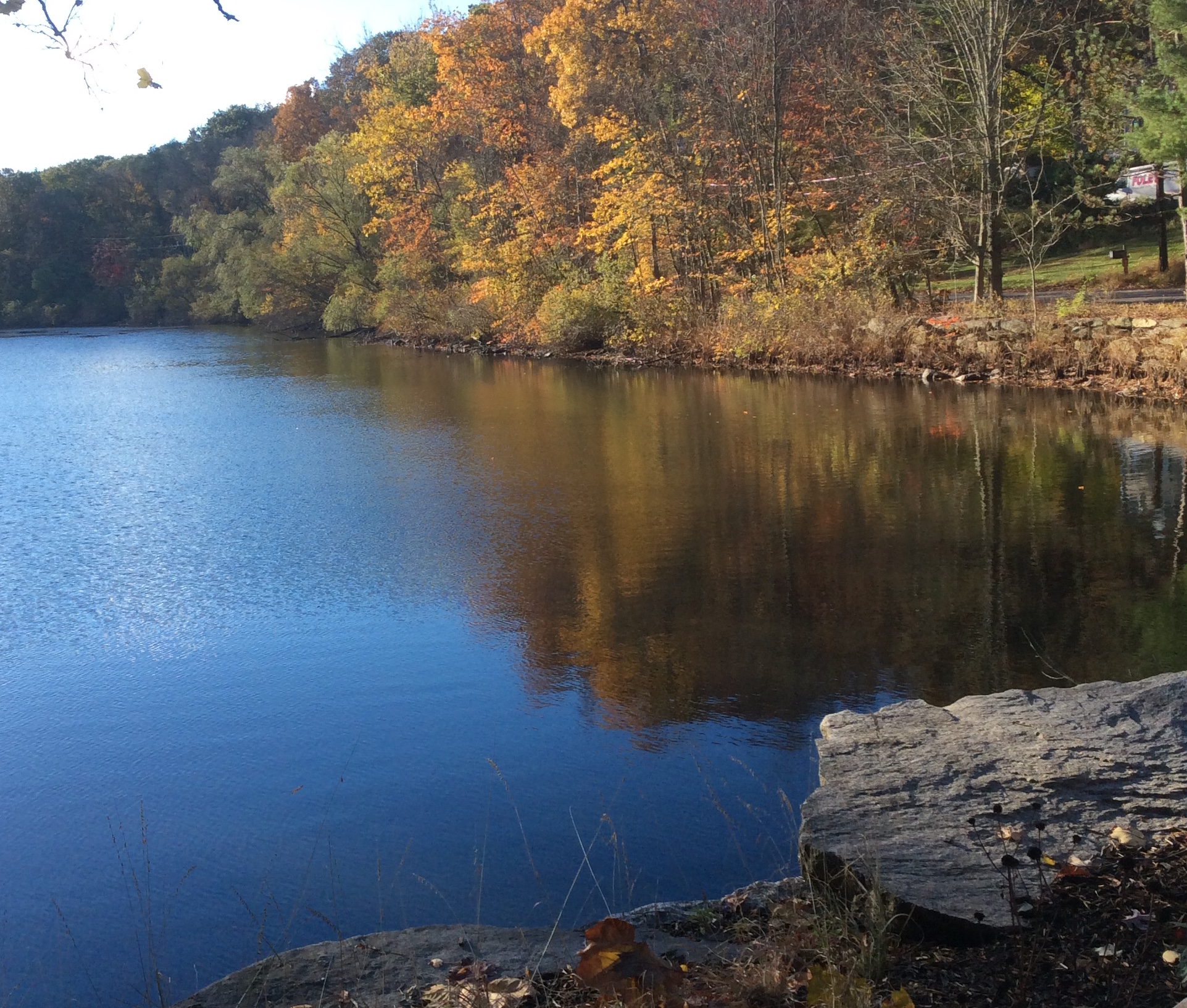 Horseshoe Pond Needs Your Help to Stay Clean | Good Morning Wilton