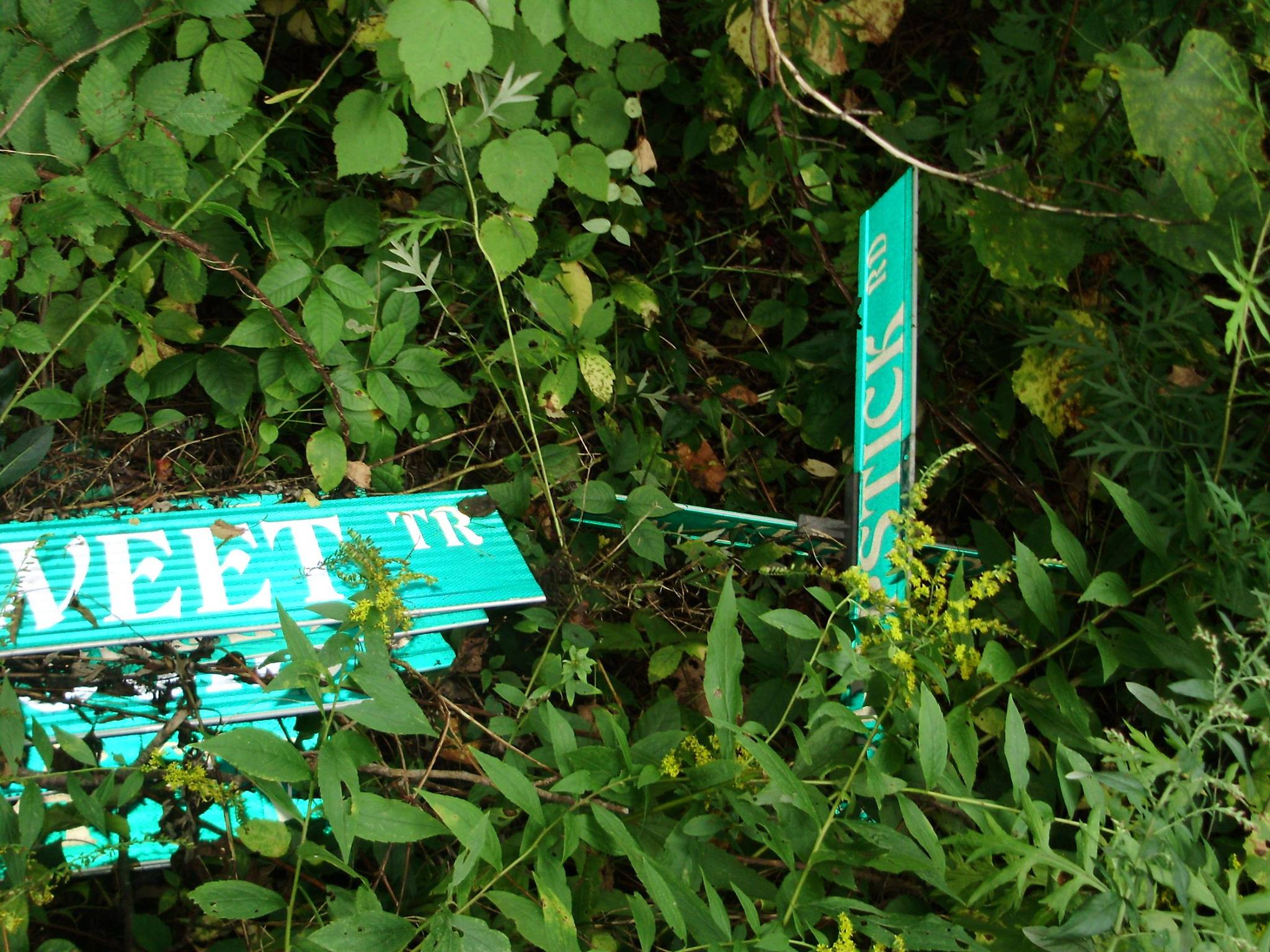 Police Recover Stolen Street Signs | Good Morning Wilton