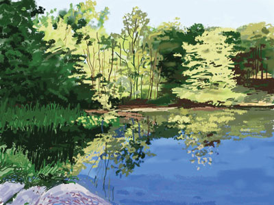 A Walk to Weir Pond | Good Morning Wilton