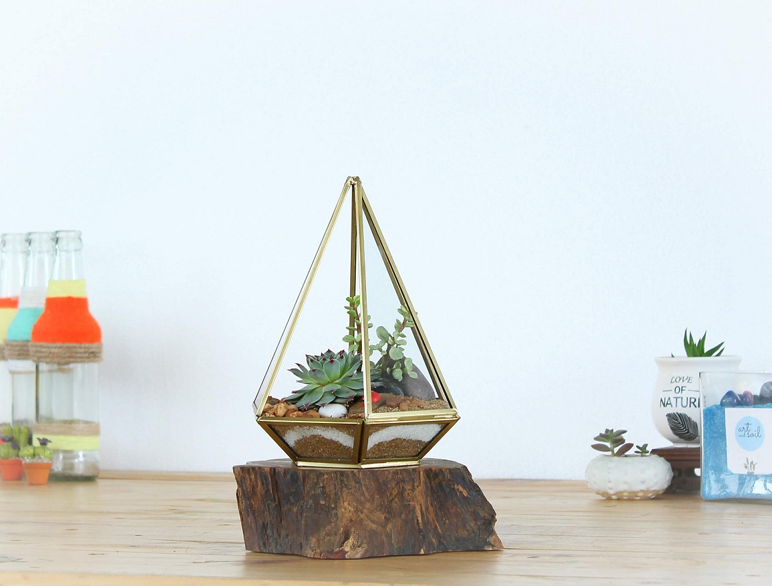Earth Day Terrariums for Teens - Good Morning Wilton