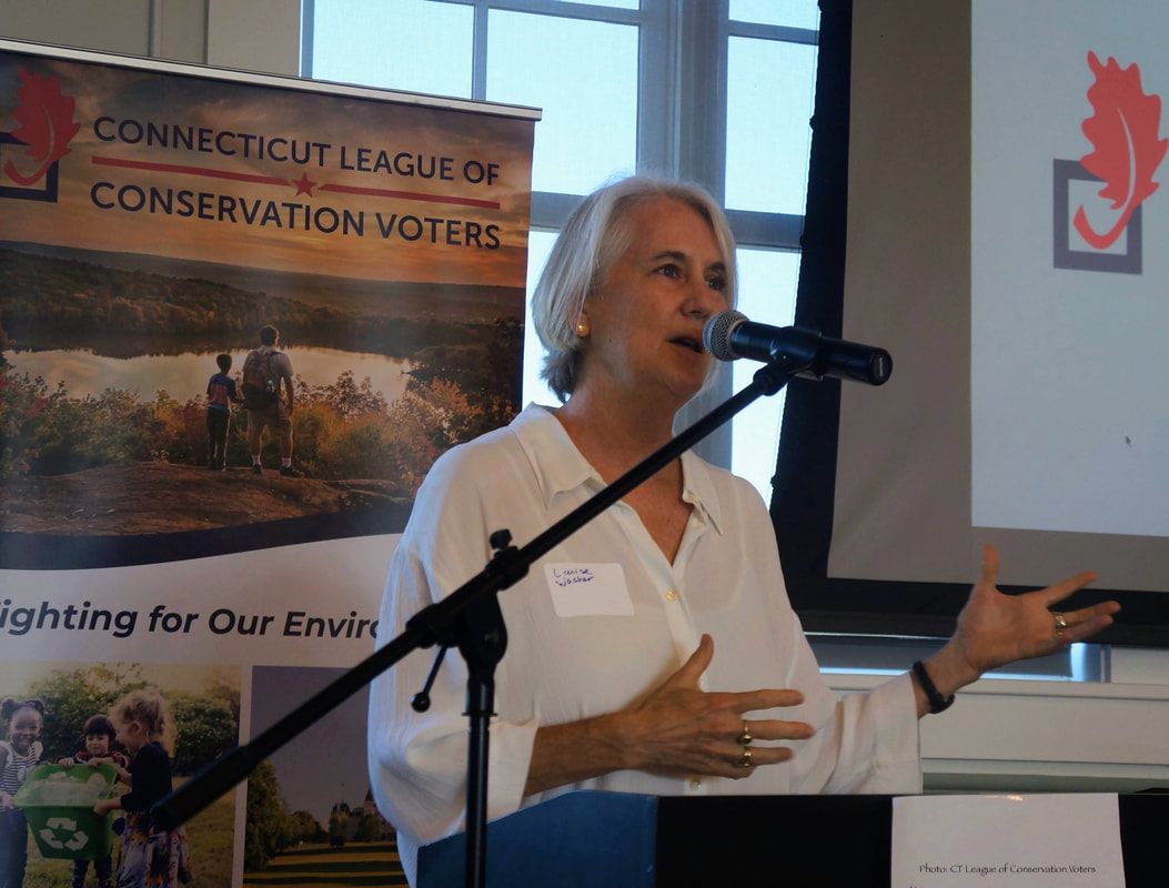 Norwalk River Protector Recognized as 2023 Environmental Leader by CT ...