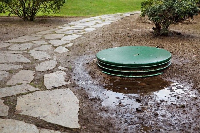 GOOD Home: The Dangers That Come With Standing Water and How To Prevent ...