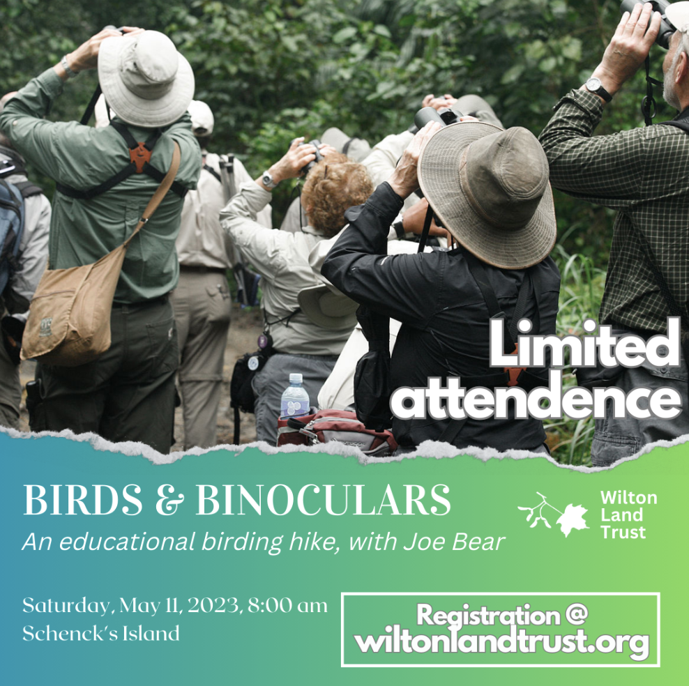 Birds & Binoculars: A Birding Expedition — Exploring nature and ...