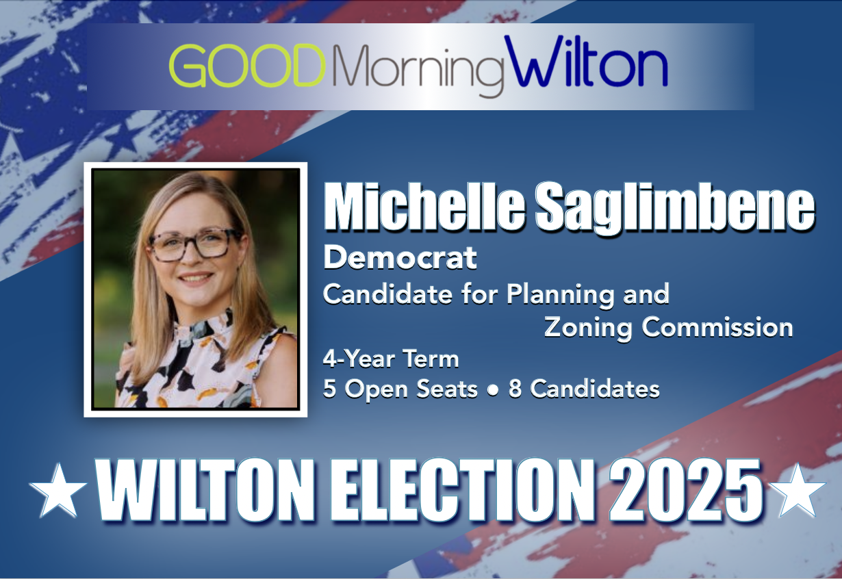 ELECTION 2025 — Michelle Saglimbene (D), Candidate for Planning and ...